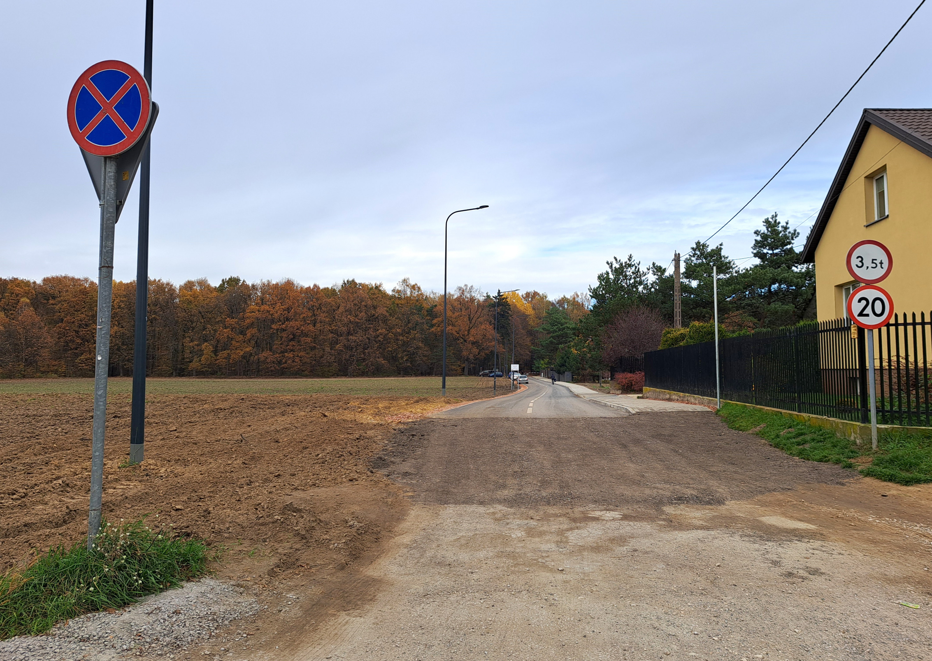 Piękny asfalt na drodze do… lasu